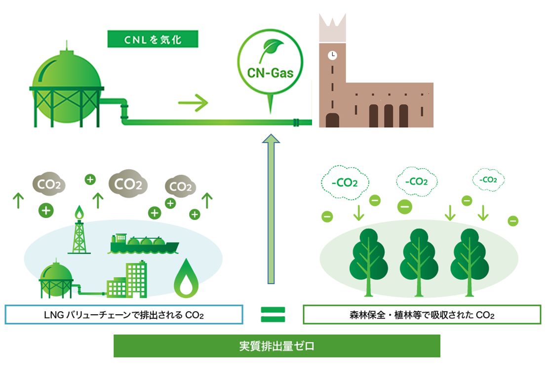 キャンパスのカーボンニュートラル推進 「カーボンニュートラル都市ガスの導入について」 | WASEDA Carbon Net Zero Challenge